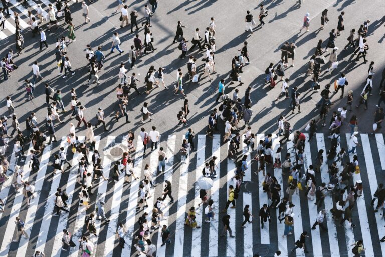 Japan Customs Updates: 2026 Tariff Revisions Explained – Trade Tech Japan