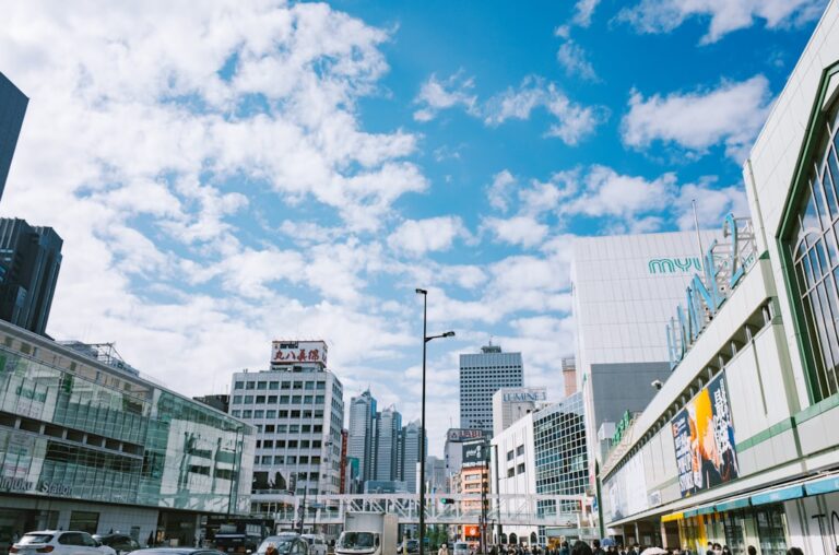 Japan’s Securities Report Review and Large Holdings Disclosure for ...